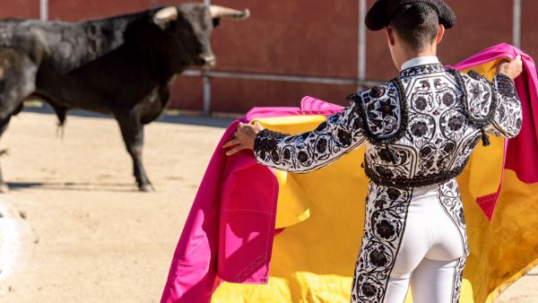 Bullfighting in Spain: Bull Farm & Bullfighting History Tour - CaramelTrail